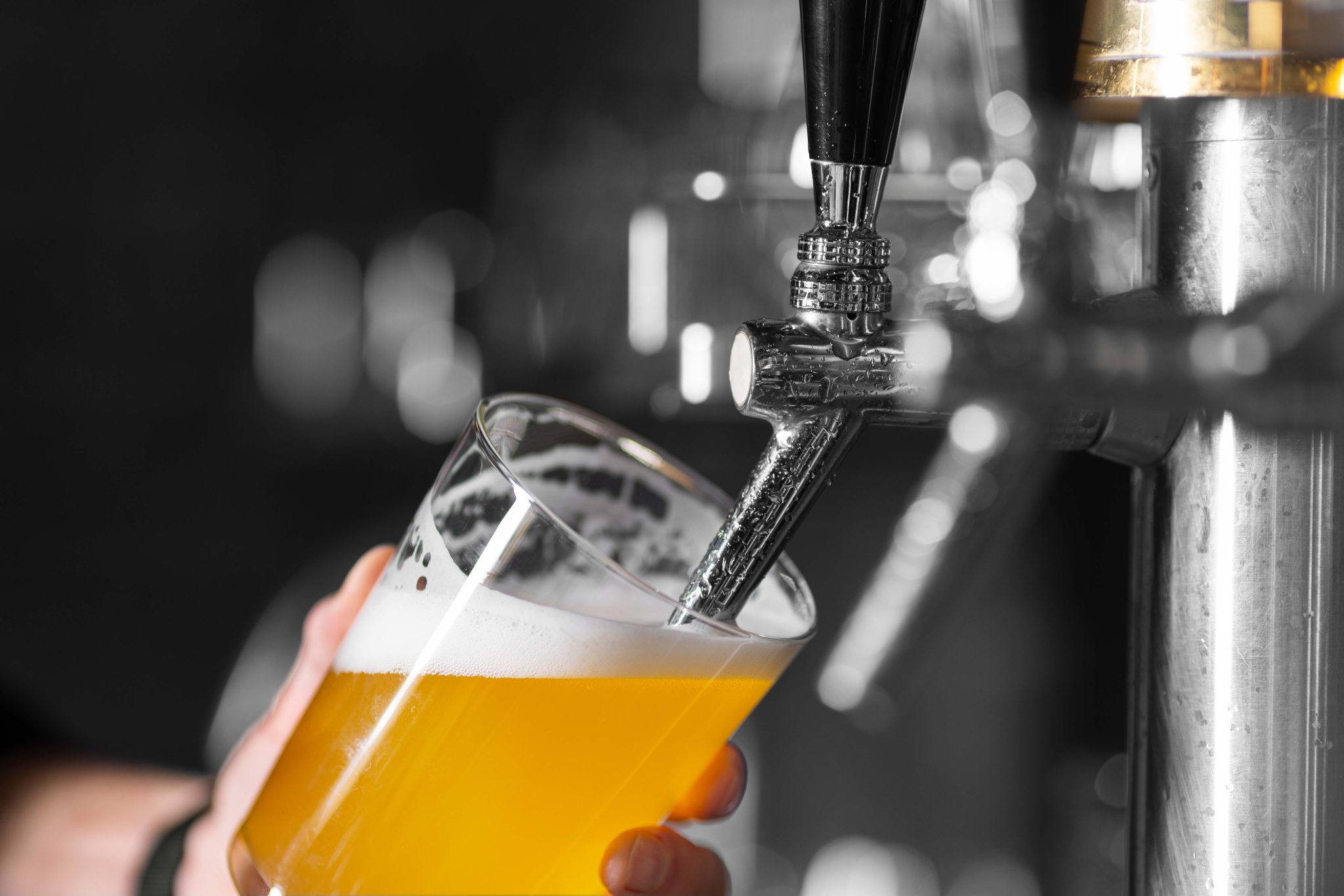 Cerveja IPA: o que é, por que é amarga e por que todo mundo está ...